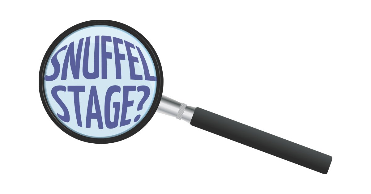 Een snuffelstage bij ESJ | ESJ